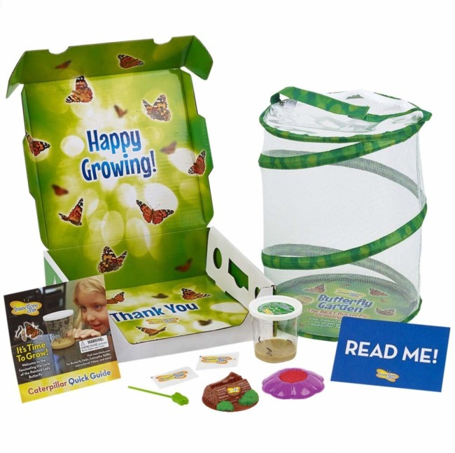 Insect Lore Live Butterfly Garden Deal - Kids Activities | Saving Money ...