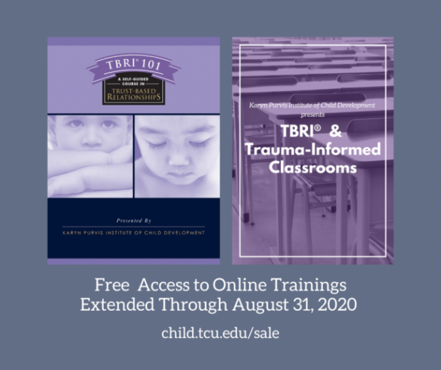 FREE TBRI 101 & TBRI & Trauma Informed eCourses - Kids Activities ...