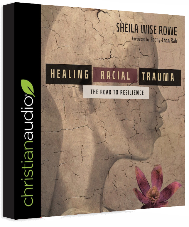 FREE Audio Book: Healing Racial Trauma - Kids Activities | Saving Money ...